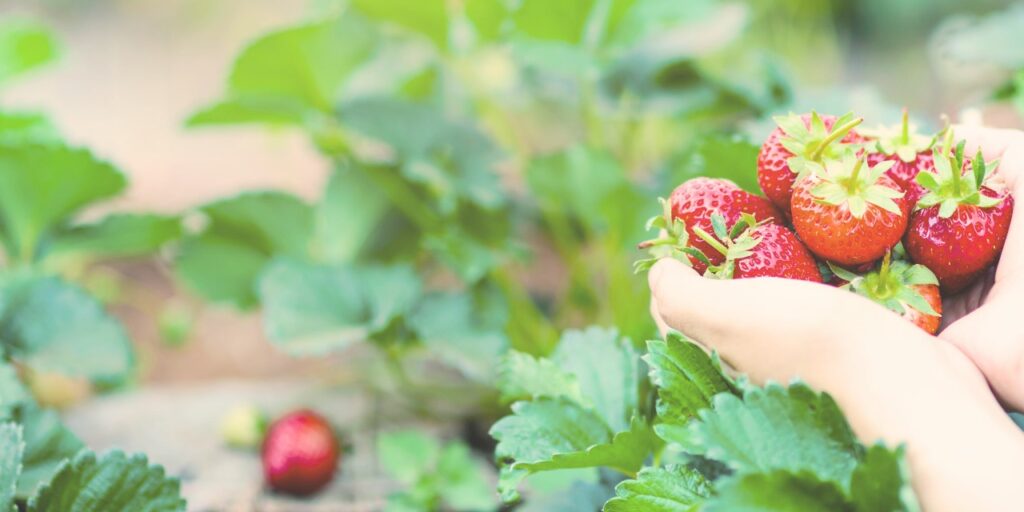 Início - Secretaria de Estado do Turismo
